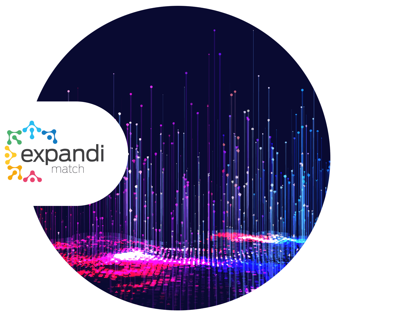 Expandi Group - The Integrated B2B Data and Services Agency